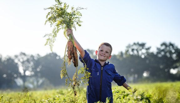 Wij telen voor ingrediënten | VanRijsingenGreen